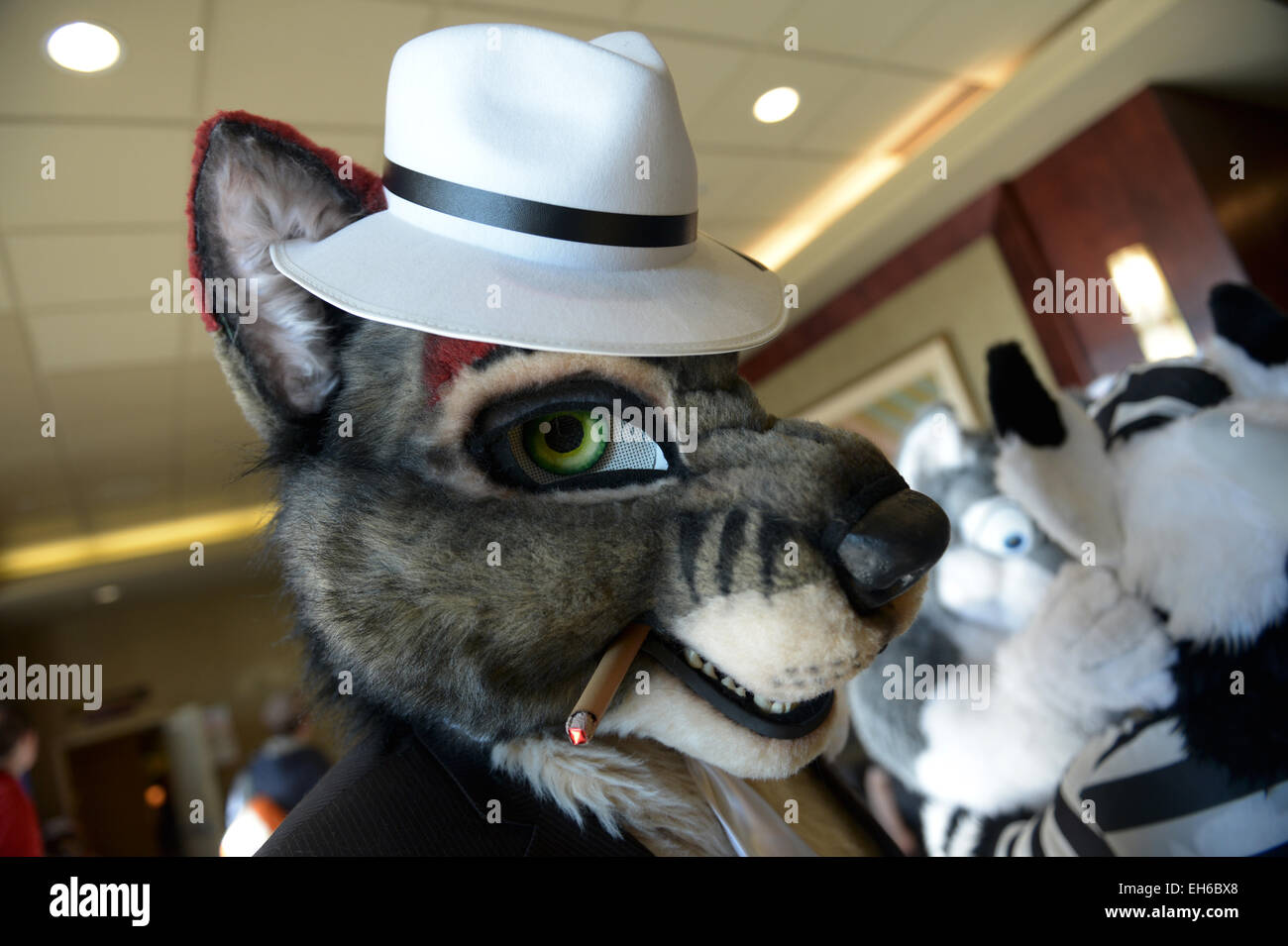 Anthromorphic hi-res stock photography and images - Alamy