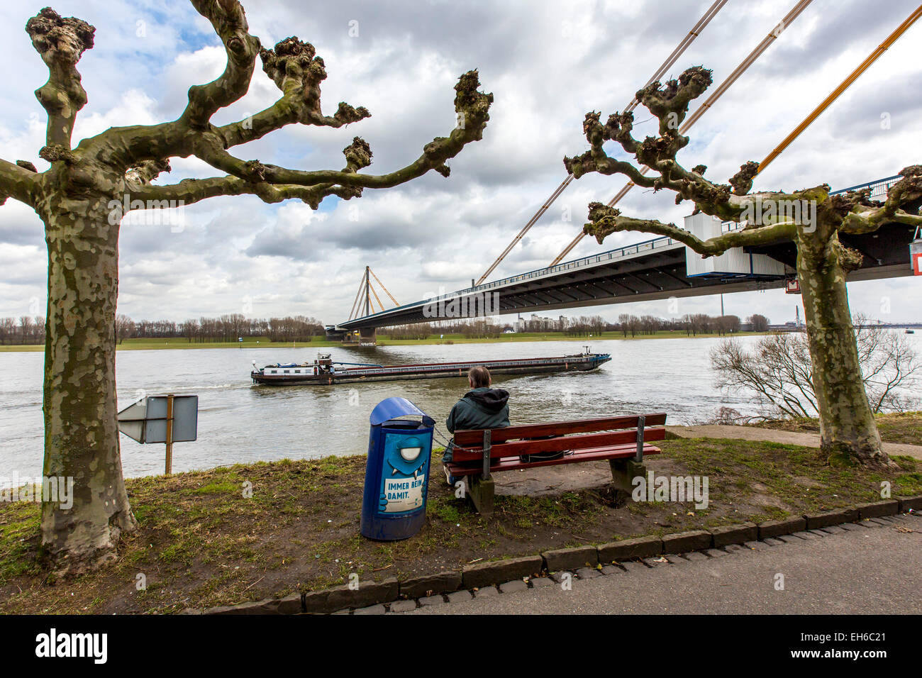 A40 motorway bridge over the Rhine a Duisburg, cable-stayed steel ...