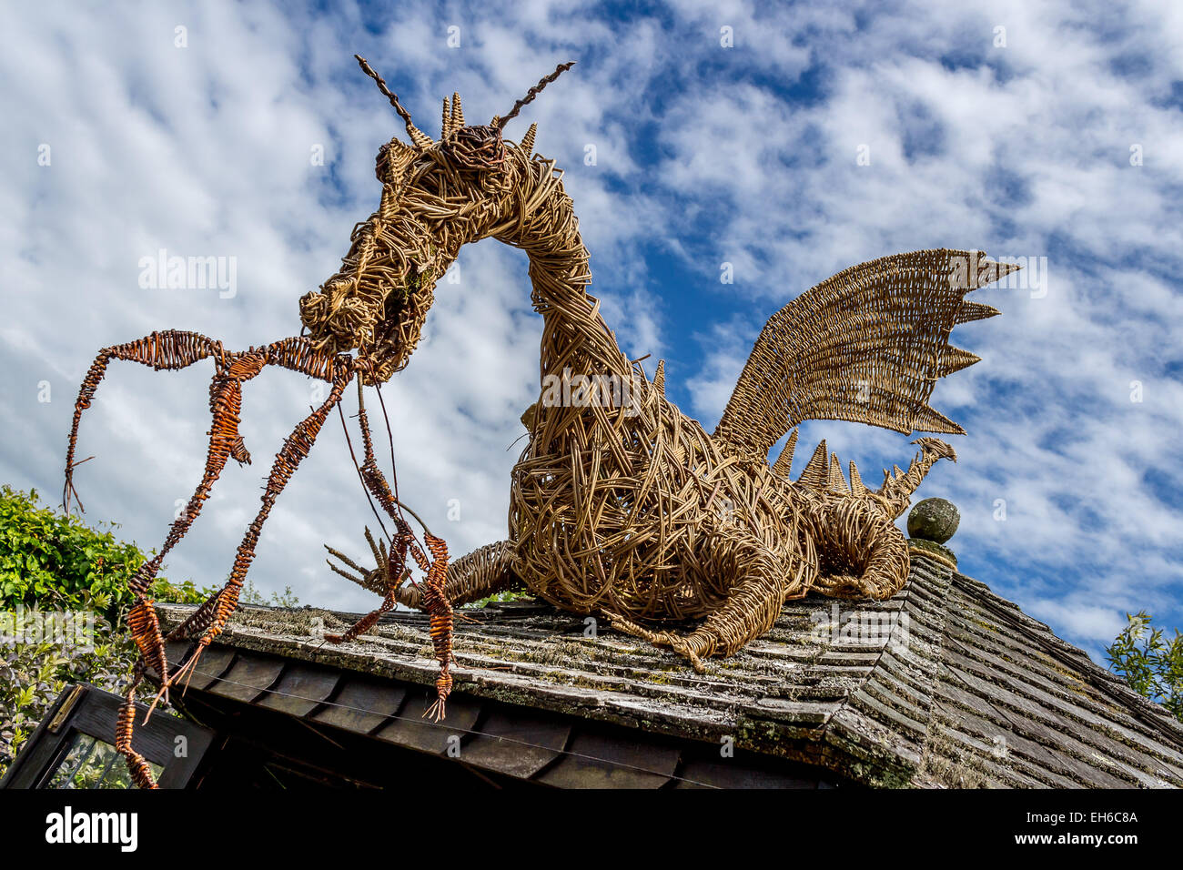 Fire breathing blue dragon hi-res stock photography and images - Alamy