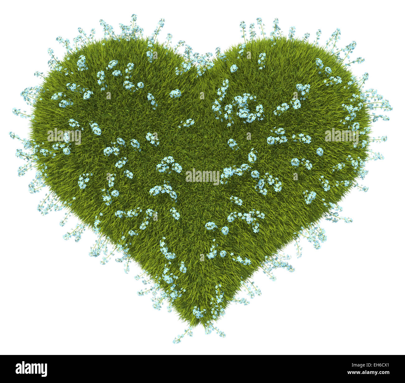 Green grass heart shape with forget-me-not flowers over white ...