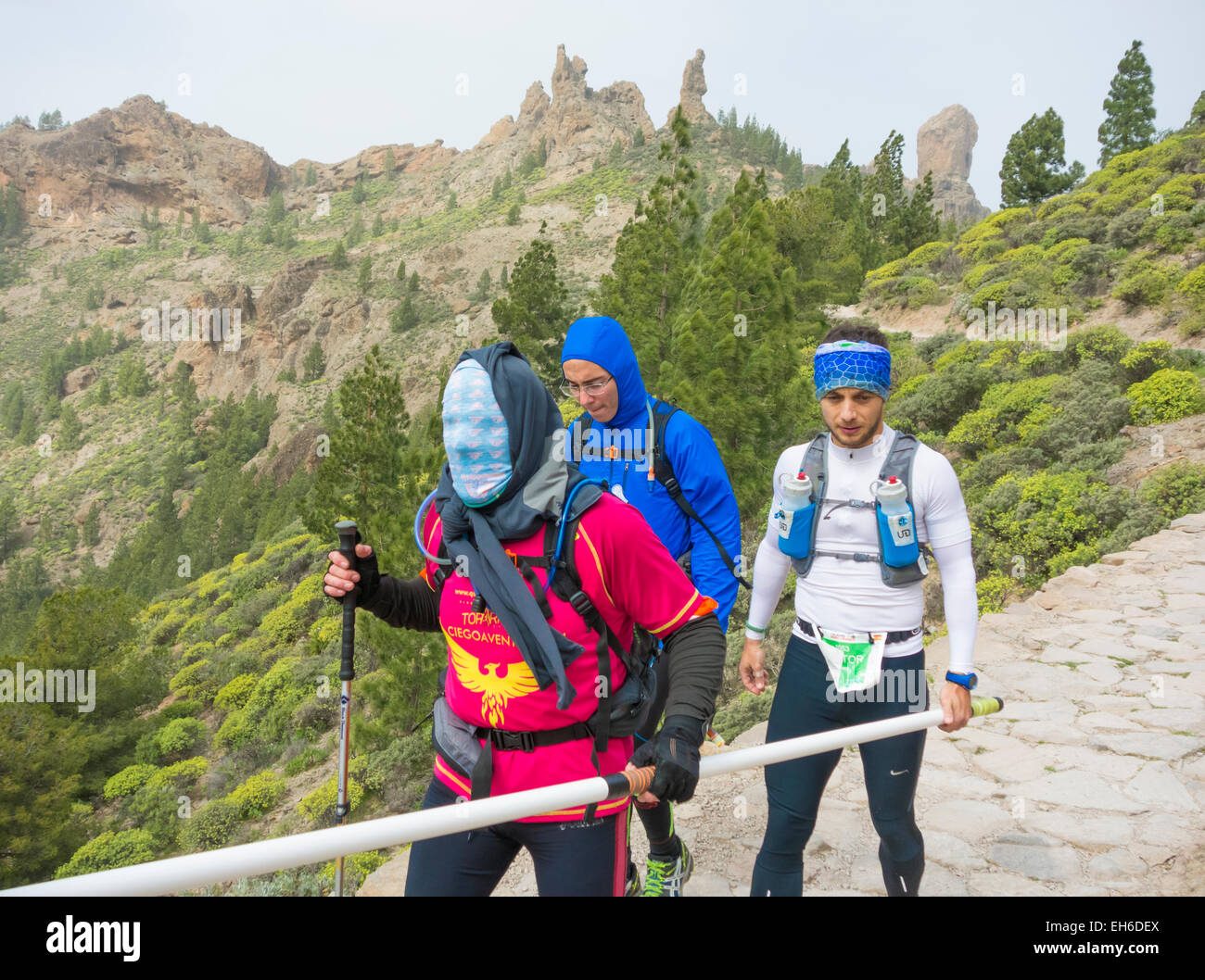 Blind runner and guides in the gruelling 125km 2015 North Face ...
