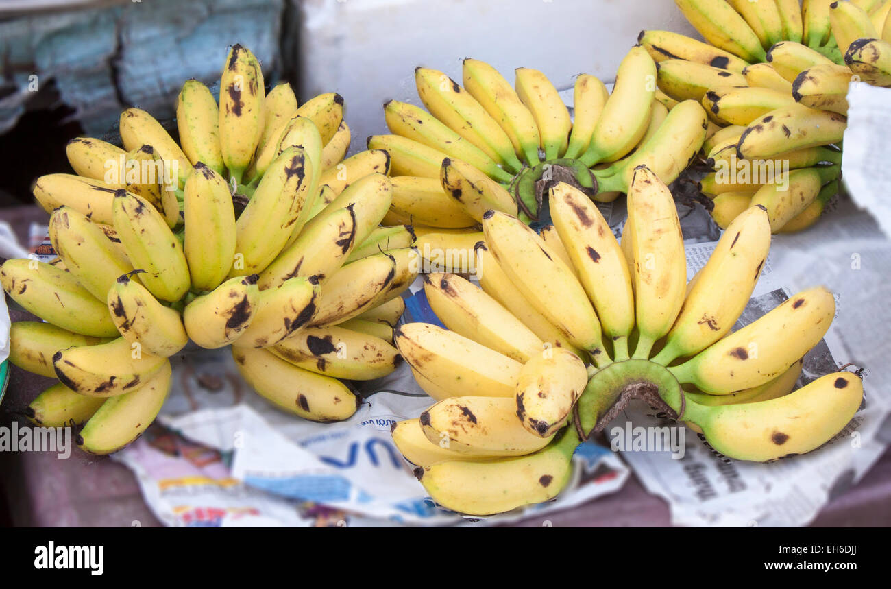 A lot of yellow bananas at a market Stock Photo - Alamy