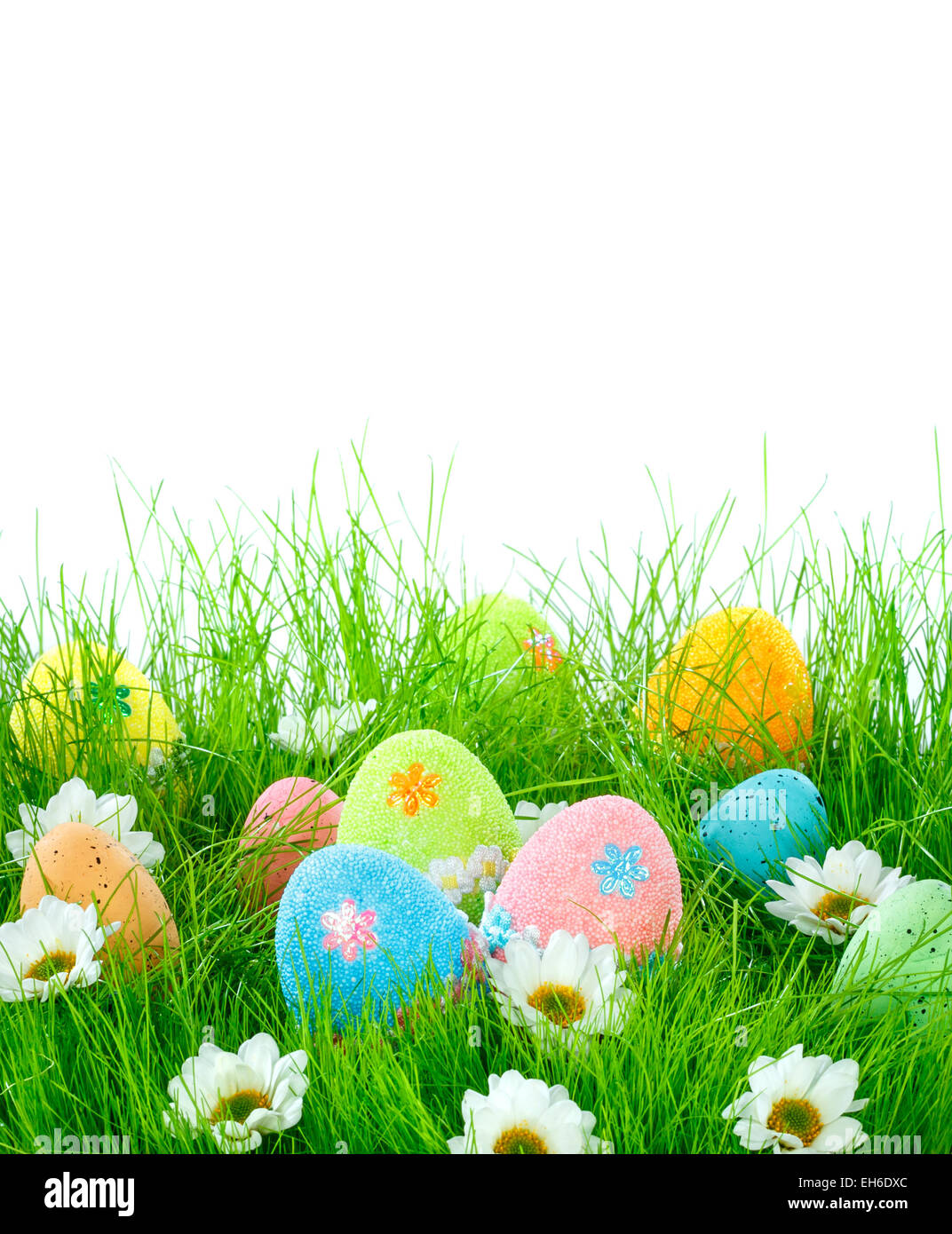 Decorated easter eggs in the grass on a white background Stock Photo ...
