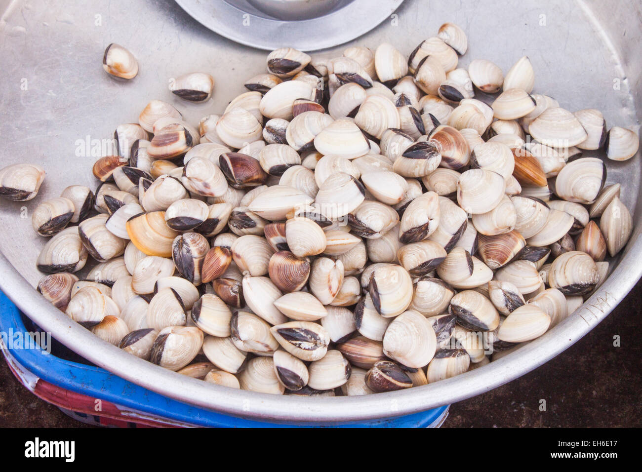 Seashell pile hi-res stock photography and images - Alamy