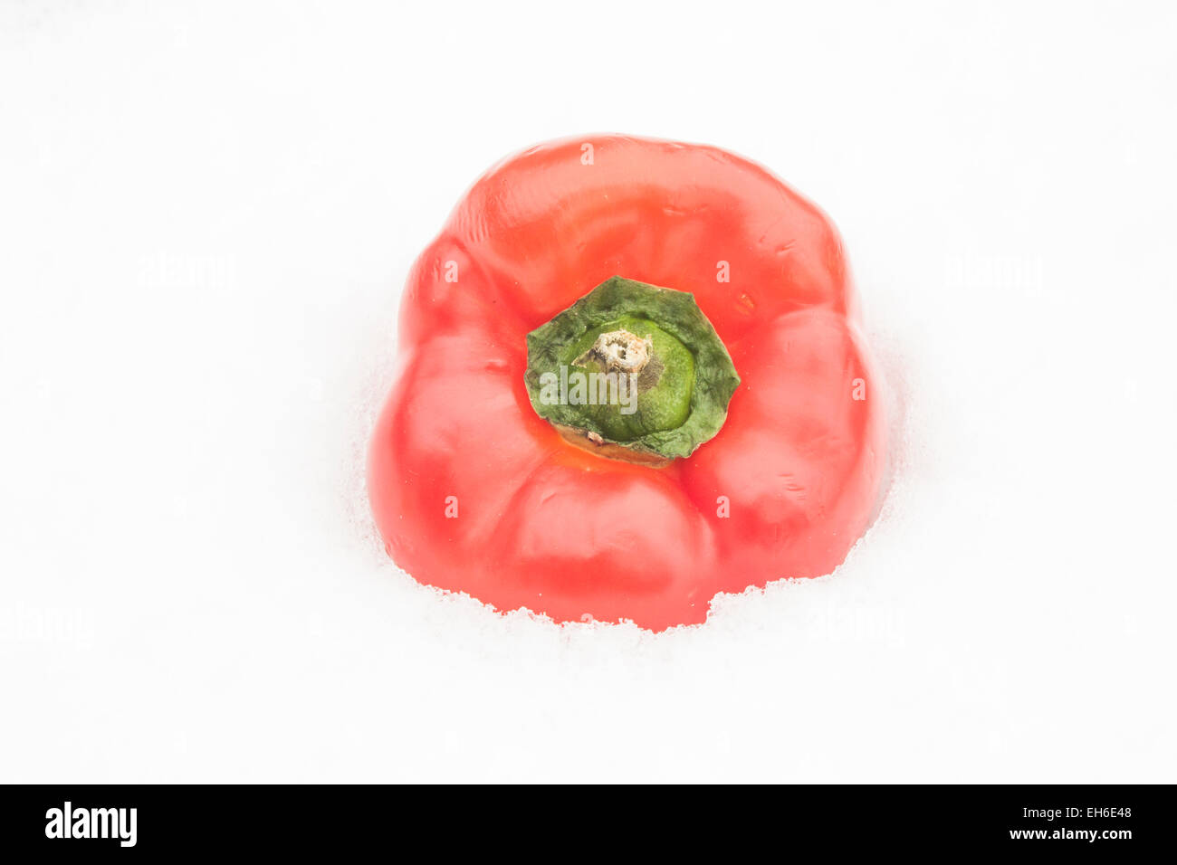 Red pepper in ice hi-res stock photography and images - Alamy