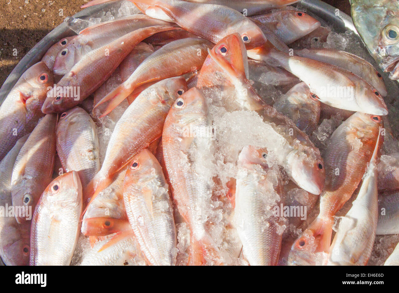 A pile of icy red fish, at a market Stock Photo - Alamy