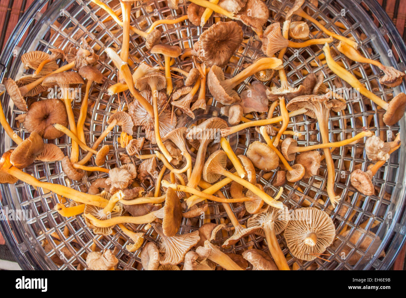 Call funnel hi-res stock photography and images - Alamy