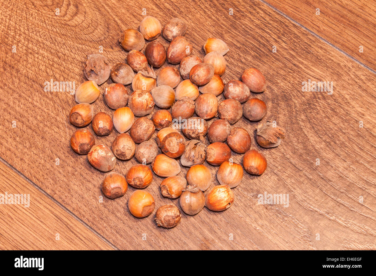 Acorn background design hi-res stock photography and images - Alamy