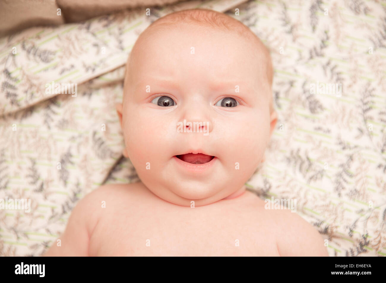 Two-month old baby girl on a light background Stock Photo - Alamy