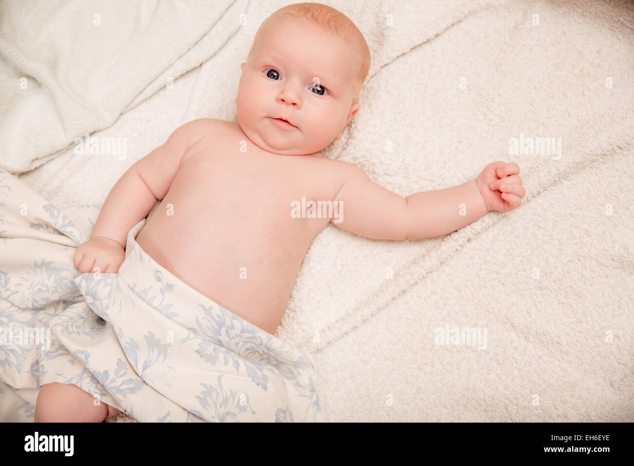 Two-month old baby girl on a light background Stock Photo - Alamy