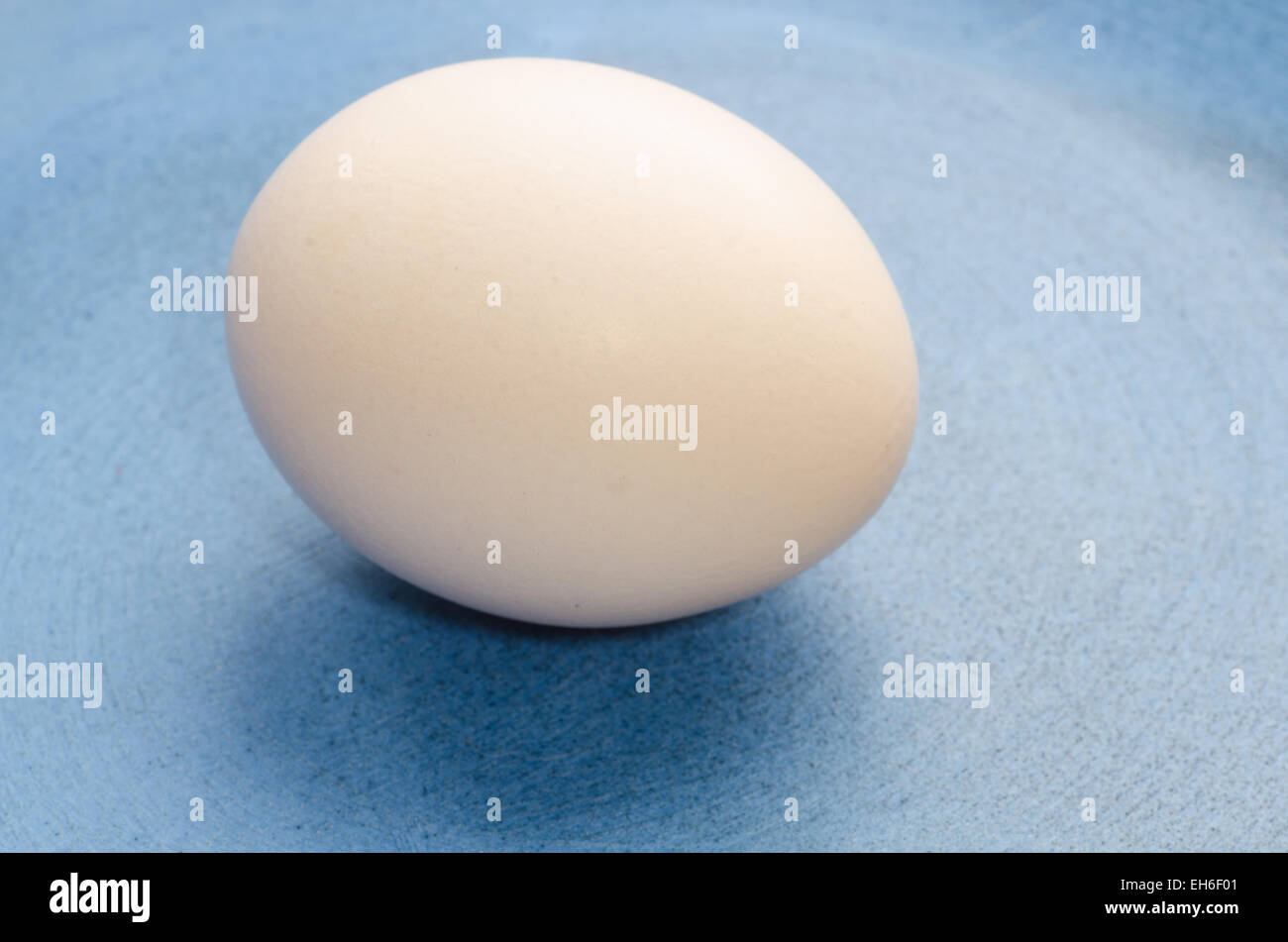 Blue blue egg hi-res stock photography and images - Alamy