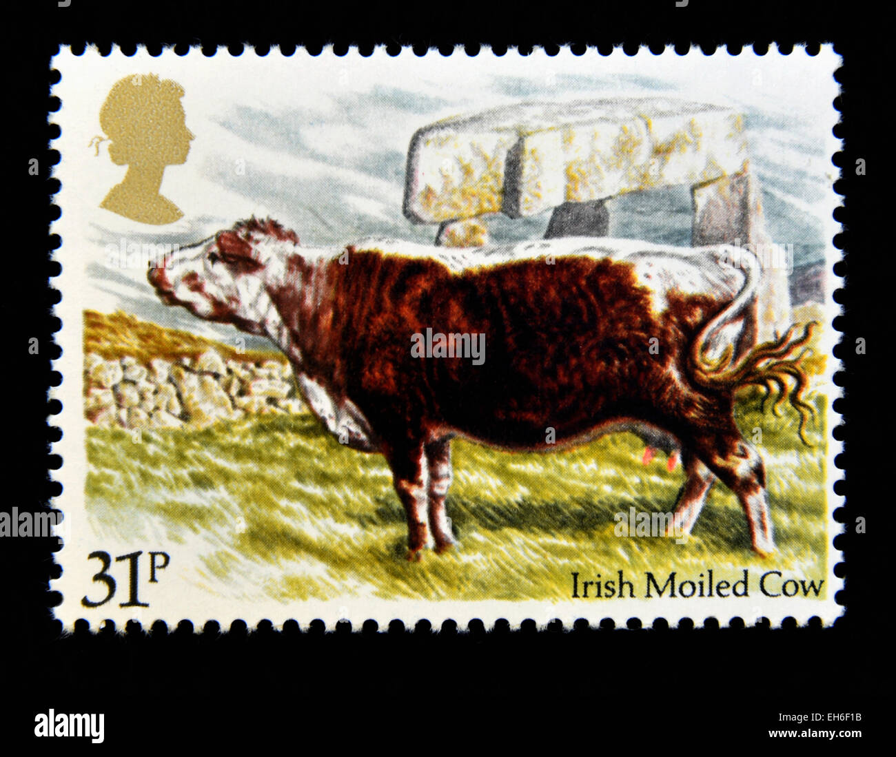 Postage stamp. Great Britain. Queen Elizabeth II. 1984. British Cattle ...
