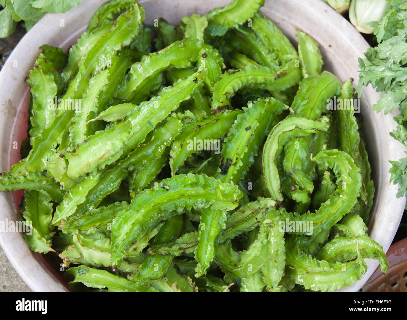 Winged bean hi-res stock photography and images - Alamy