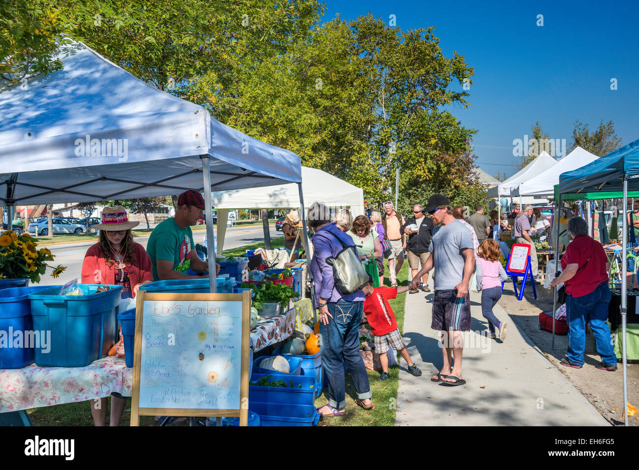 Farmers market stalls in Golden, British Columbia, Canada Stock Photo ...