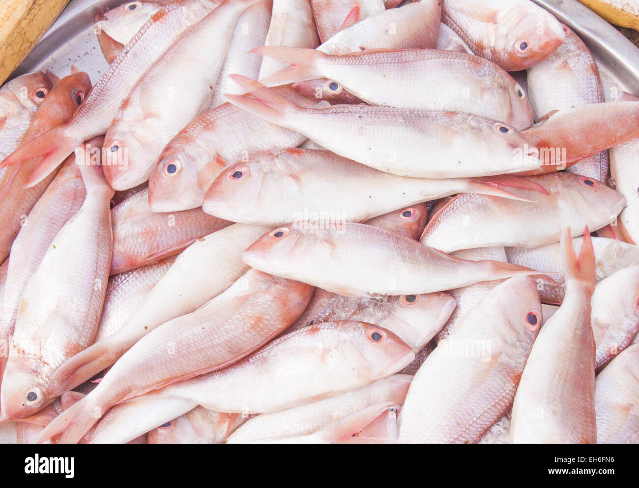 Asian red snapper hi-res stock photography and images - Alamy