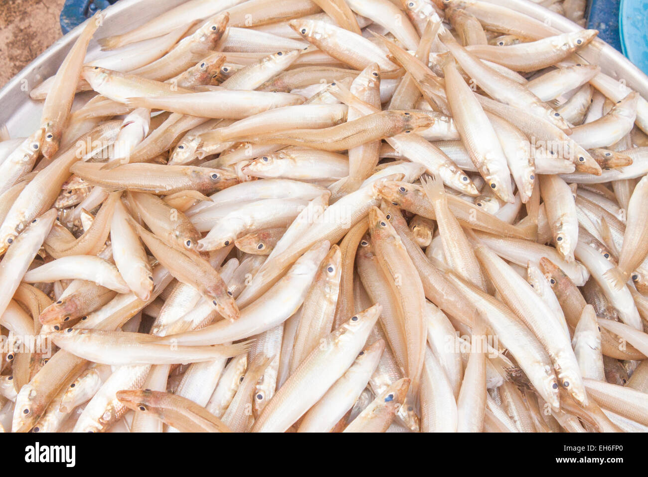 A pile of small fish, at a market Stock Photo - Alamy