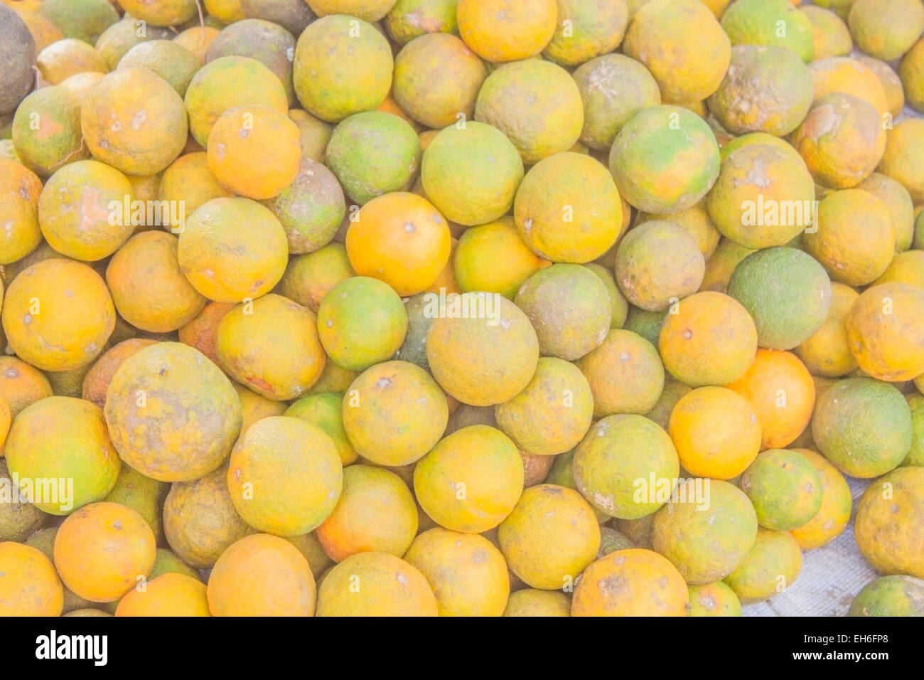 Vietnamese green and yellow oranges, at a market Stock Photo - Alamy