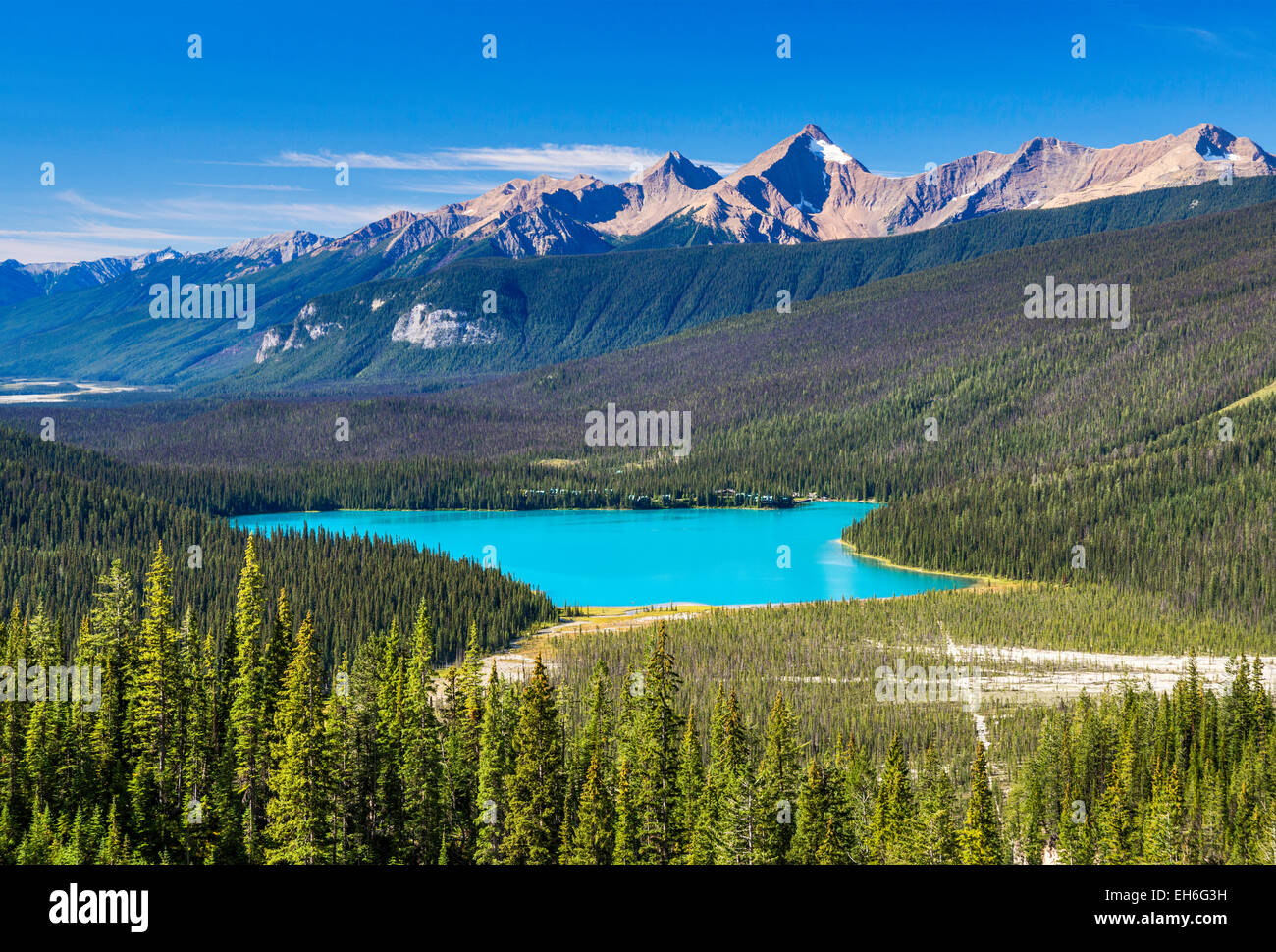 Hamilton Spur mountain range over Emerald Lake, from Yoho Pass Trail ...
