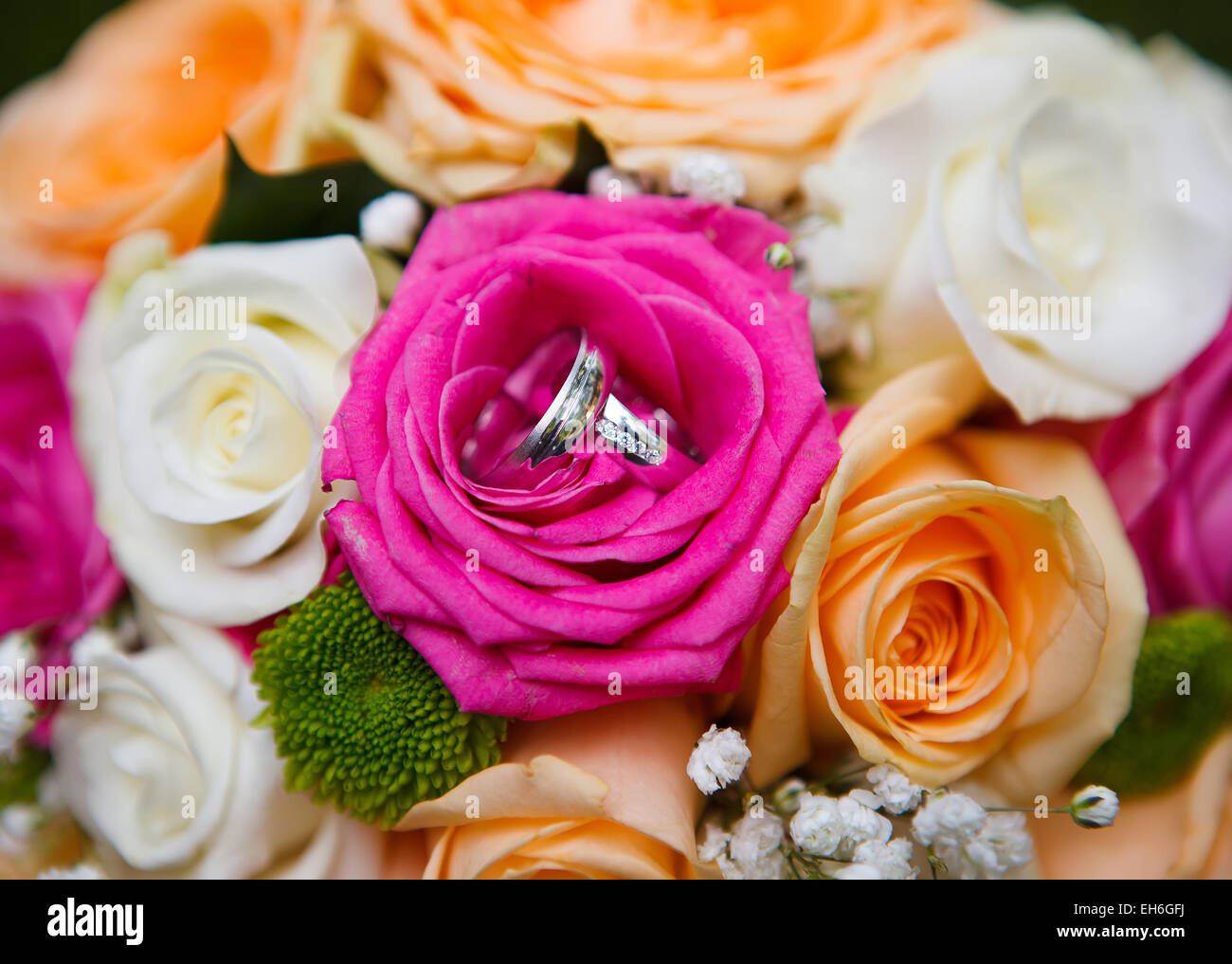Wedding rings on the red roses Stock Photo - Alamy