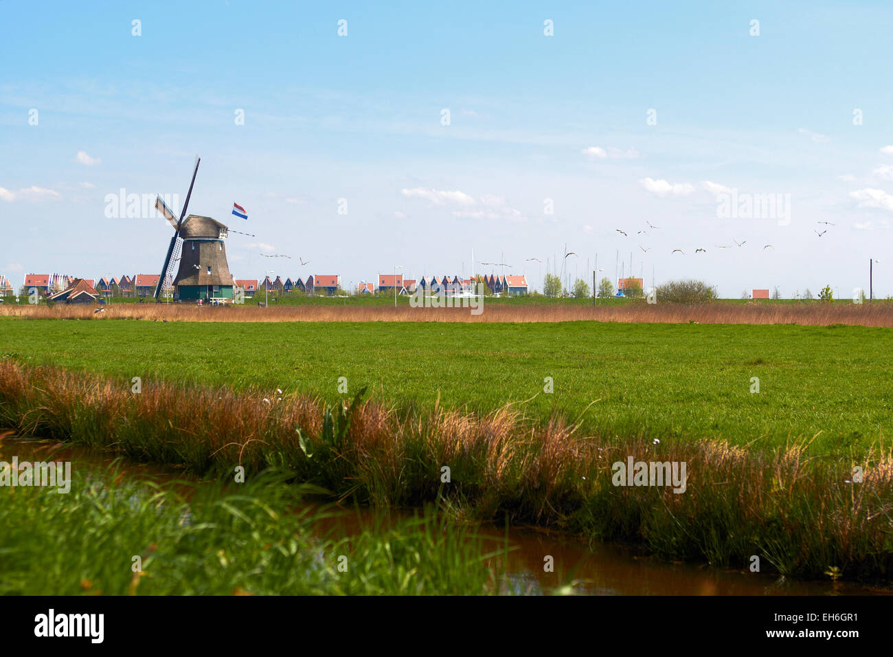 charming landscape with Dutch windmill bright spring day Stock Photo ...