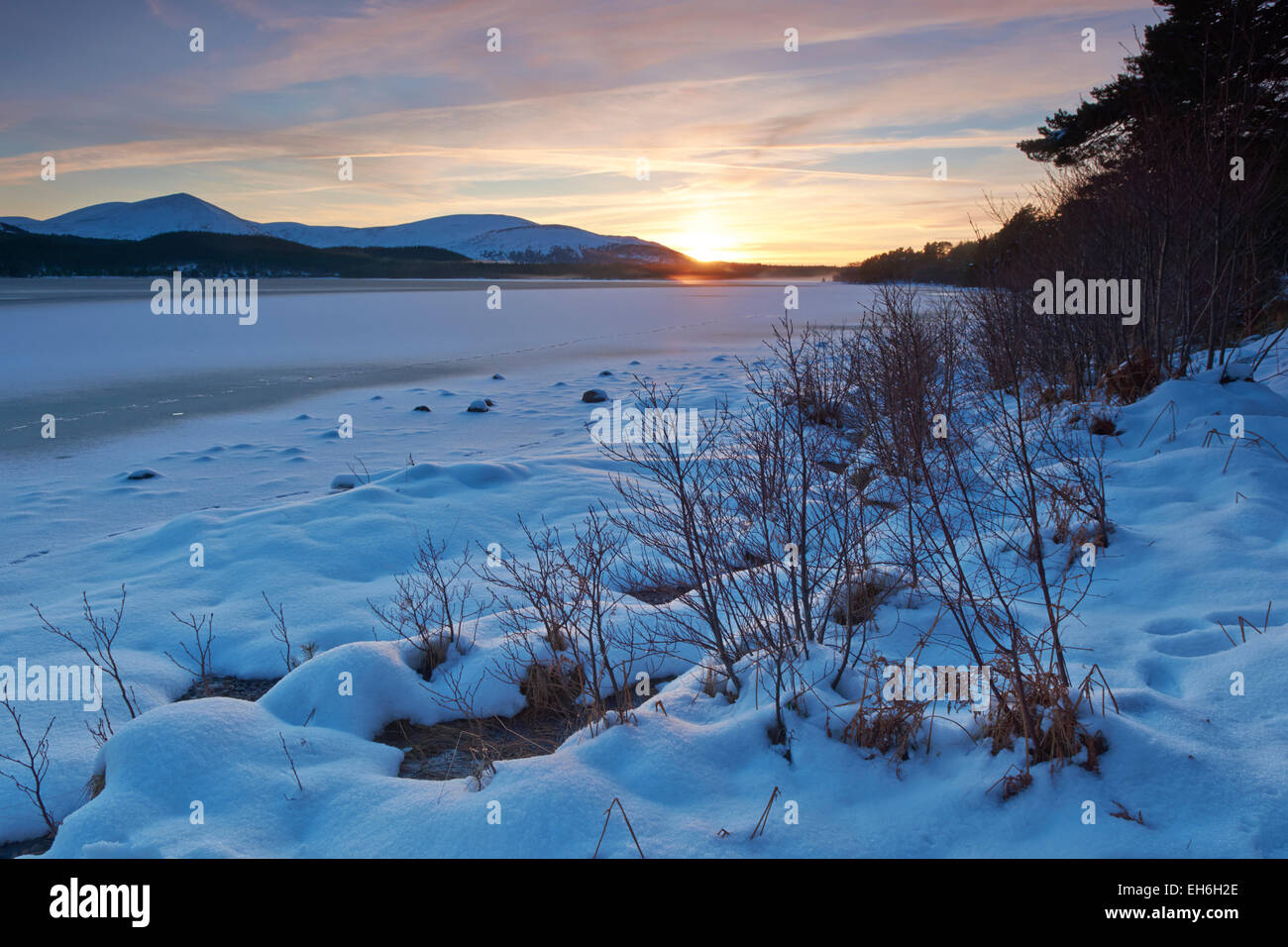 Winter sunset from the shores of the frozen Loch Morlich in Aviemore ...