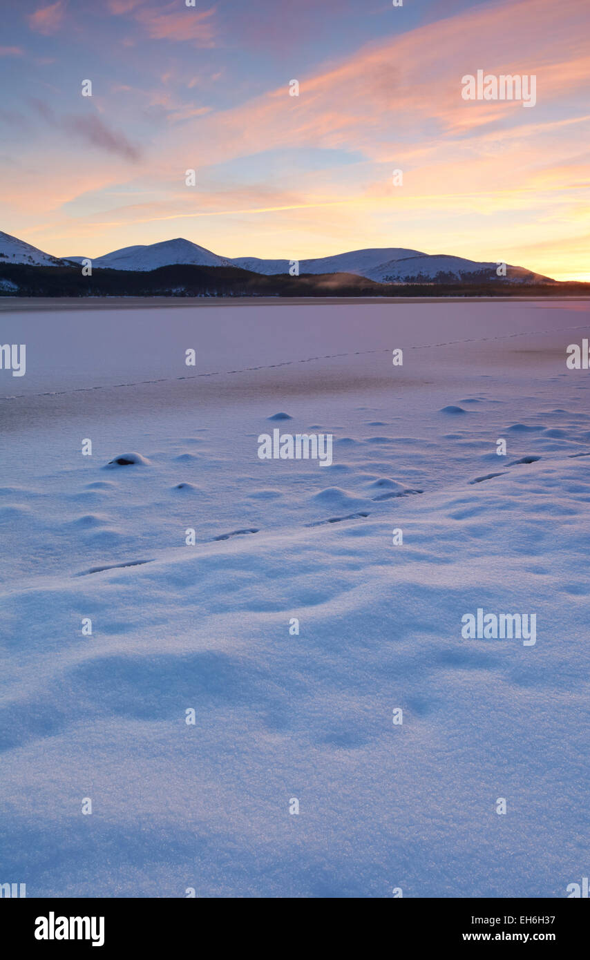 Loch morlich winter hi-res stock photography and images - Alamy
