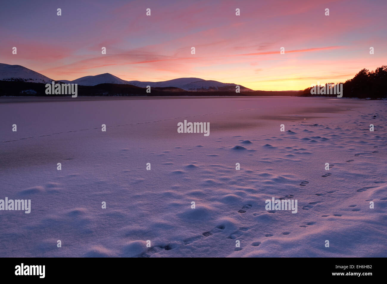 Winter sunset from the shores of the frozen Loch Morlich in Aviemore ...