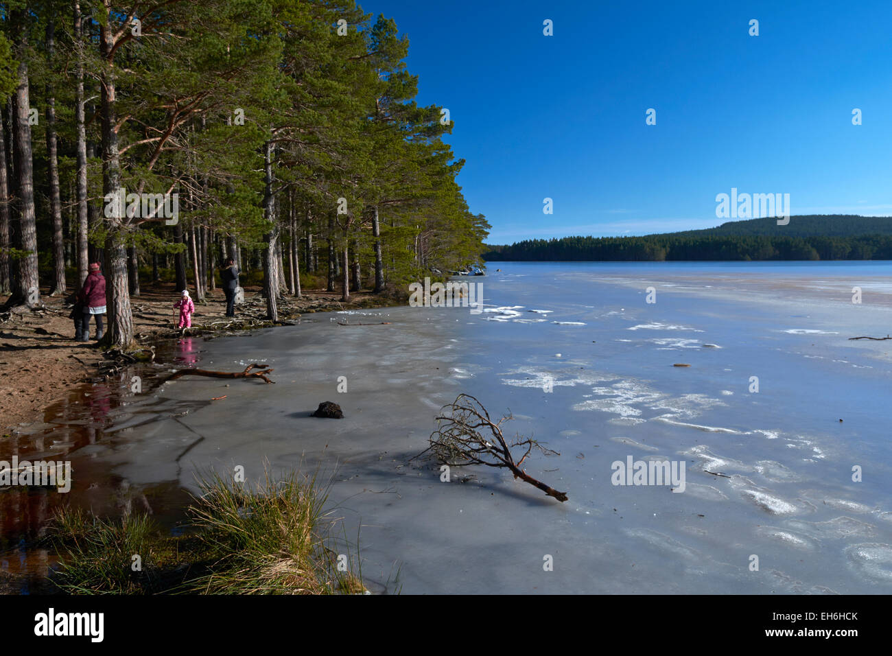 Loch Garten in Winter - Cairngorms National Park, Scotland, UK Stock ...