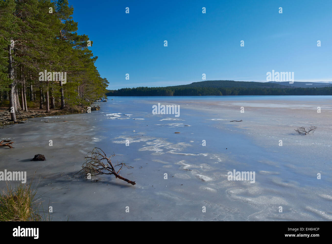 Loch Garten in Winter - Cairngorms National Park, Scotland, UK Stock ...
