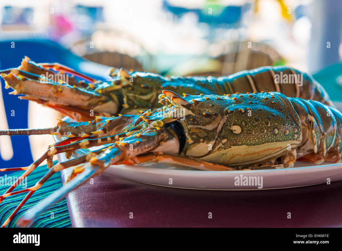Sea lobster hi-res stock photography and images - Alamy
