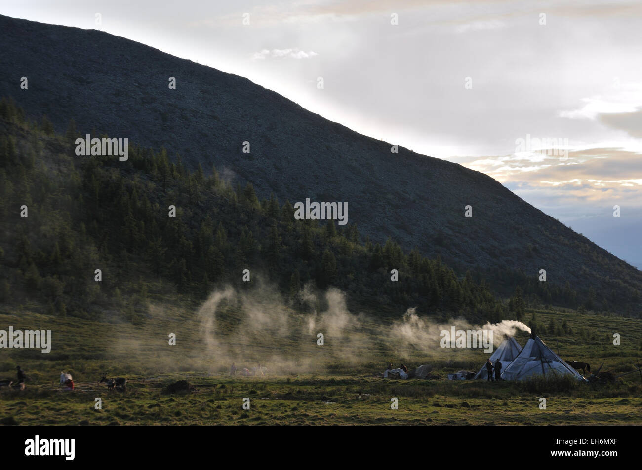 Mongolian tribe hi-res stock photography and images - Alamy
