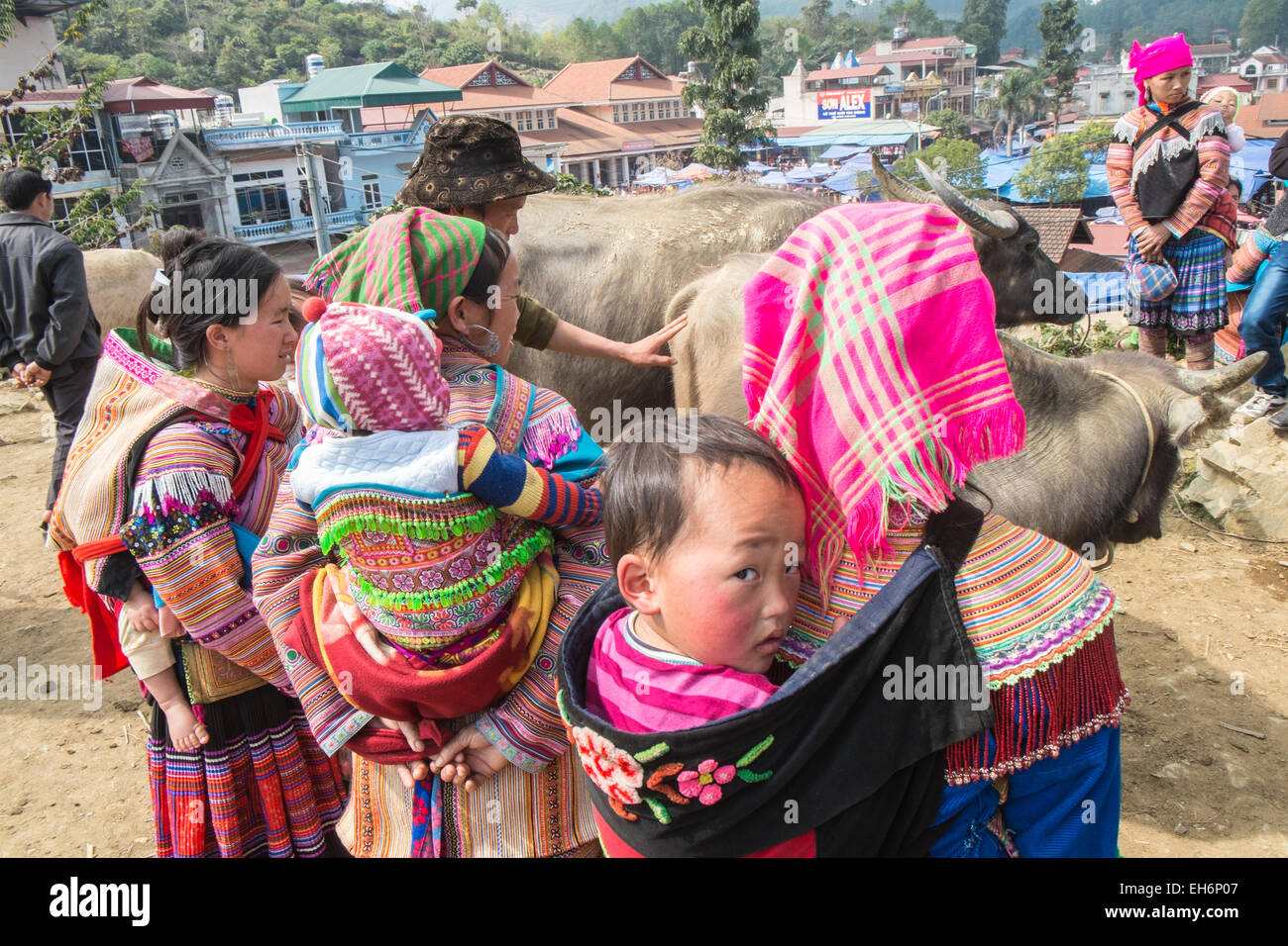 Bac Ha Sunday Market famed for buffalo selling near Lao Cai, and Sa Pa ...