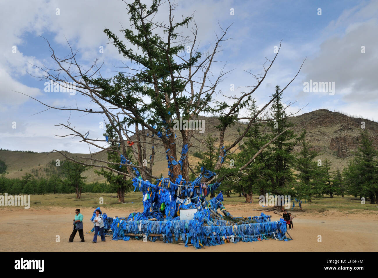 Zuun Salaa Mod Sacred Tree With Blue Prayer Flags and Pilgrims Stock ...