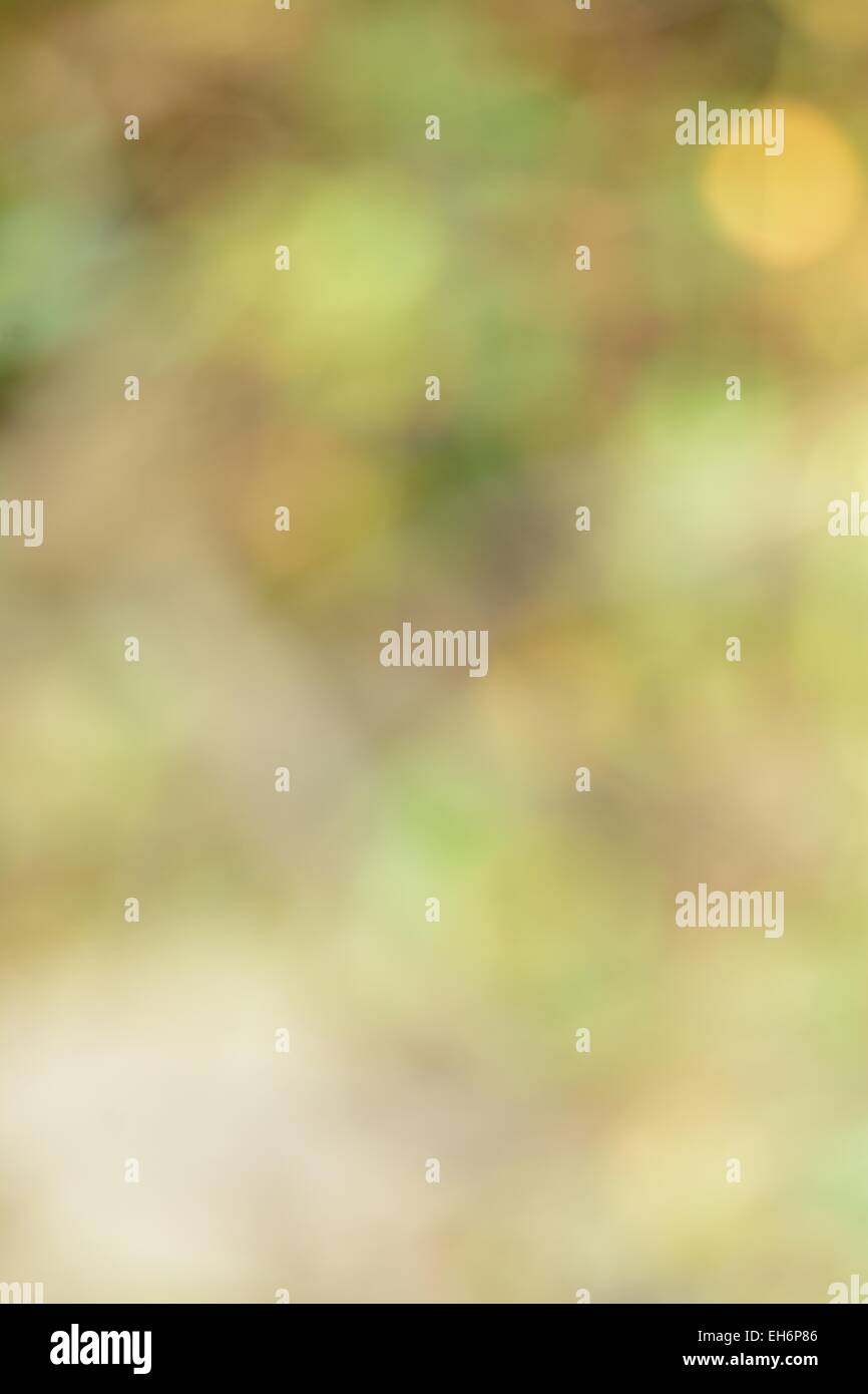 Out of focus plants hi-res stock photography and images - Alamy