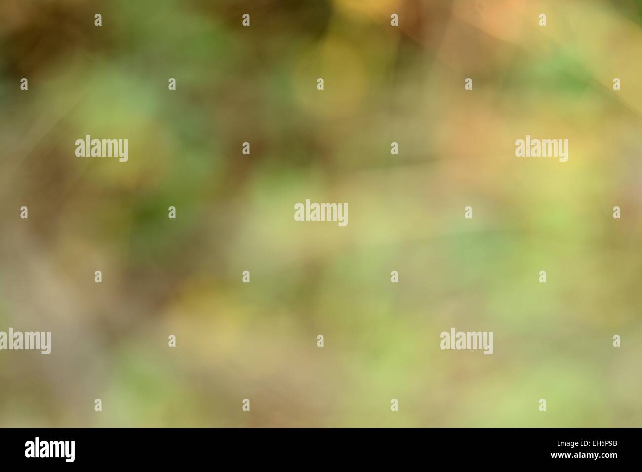 Out of focus plants hi-res stock photography and images - Alamy