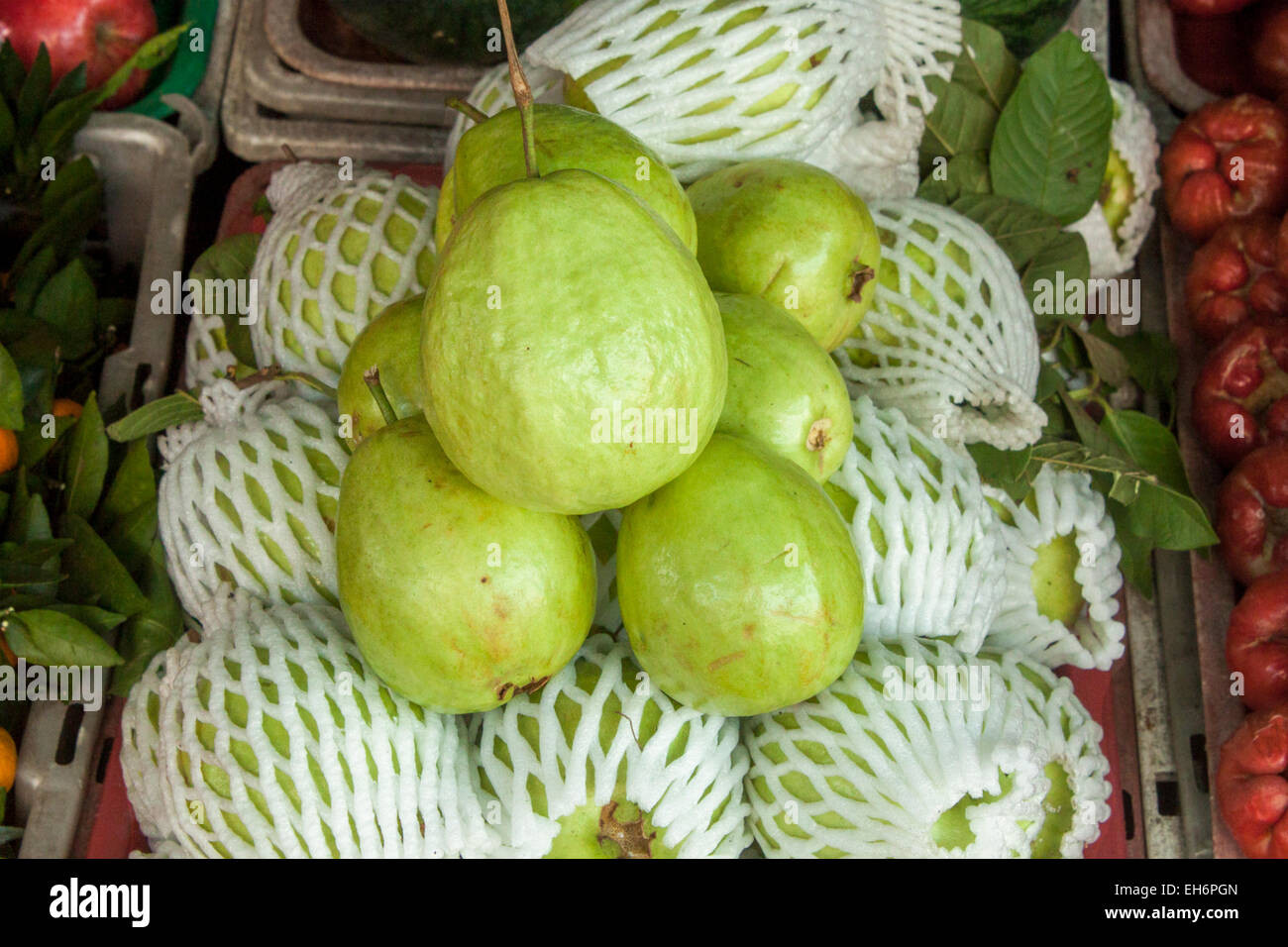 A lot of green guava fruits, at a market in Ho chi minh city, in ...