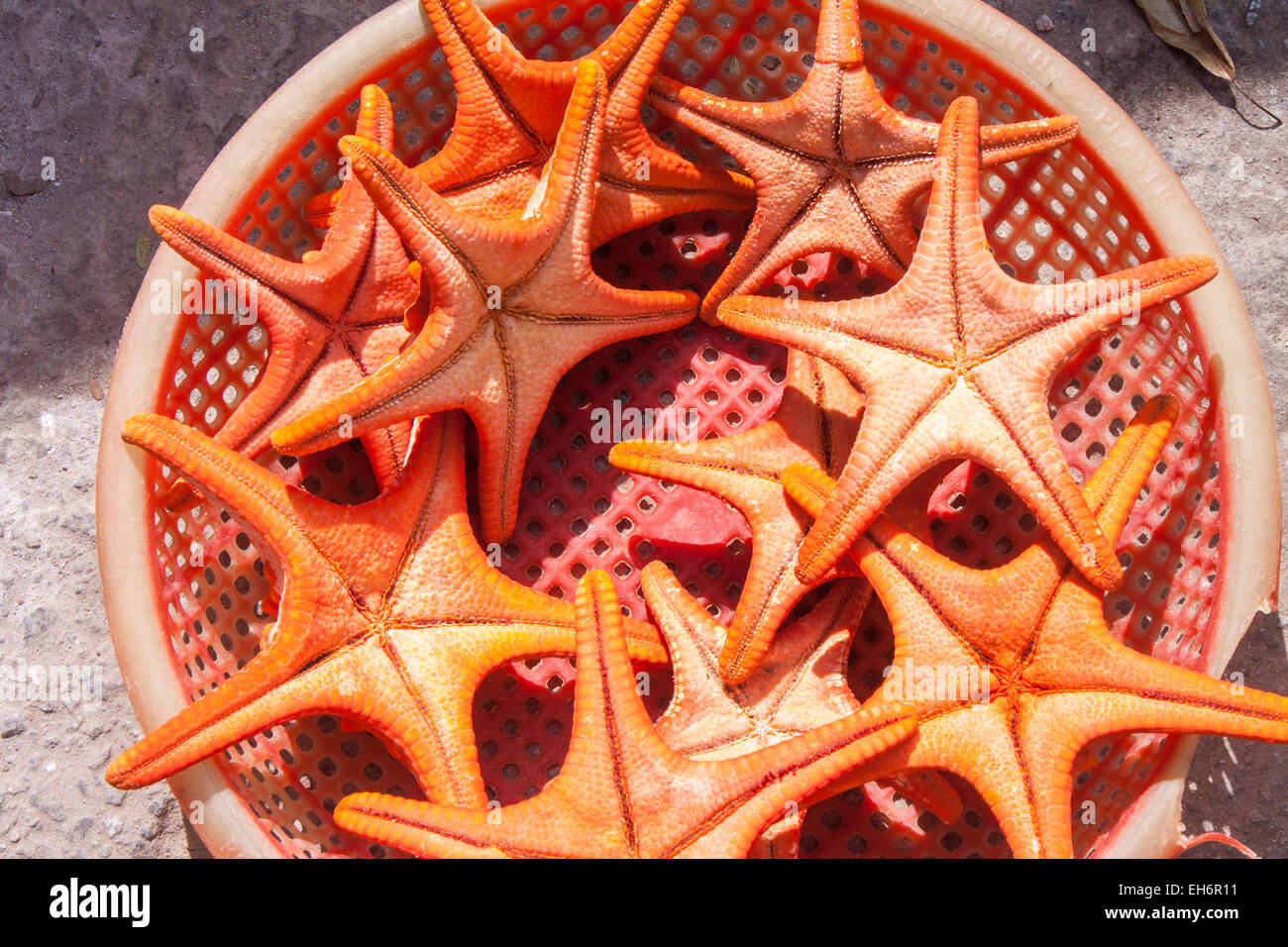 Caribbean basket stars hi-res stock photography and images - Alamy