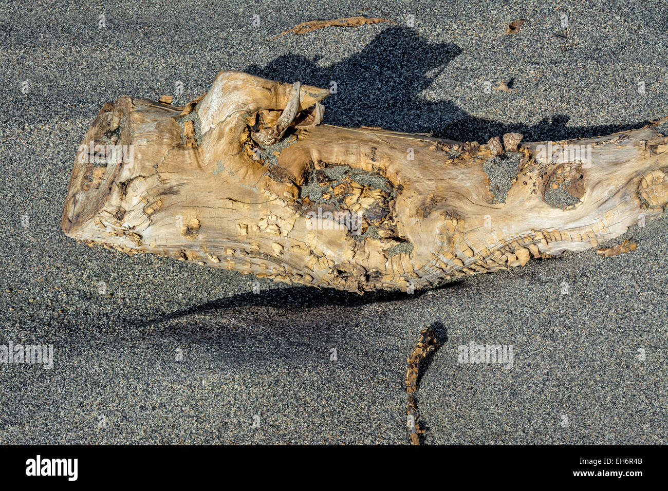 Old weathered log hi-res stock photography and images - Alamy
