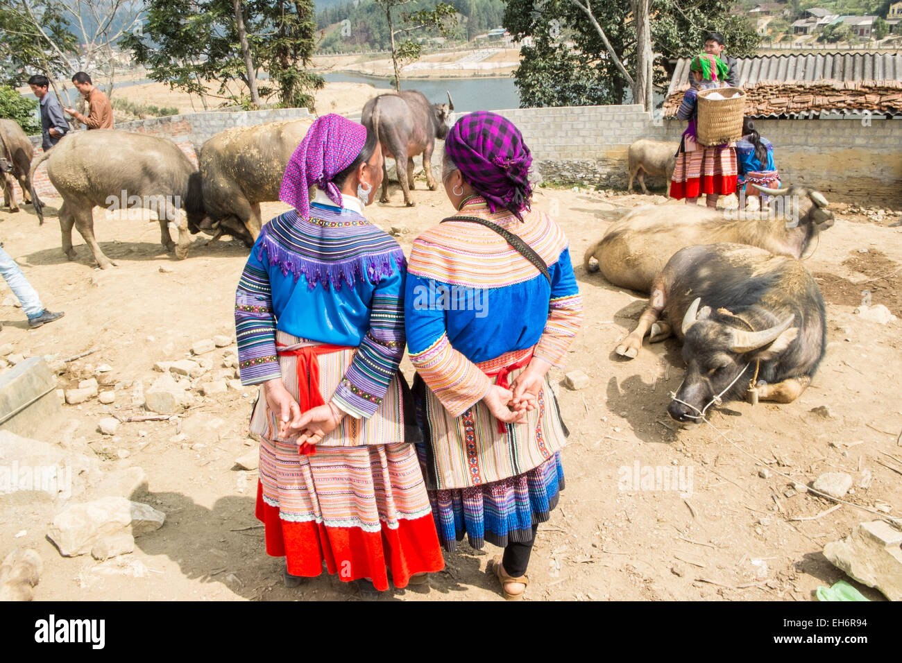 Bac Ha Sunday Market famed for buffalo selling near Lao Cai, and Sa Pa ...