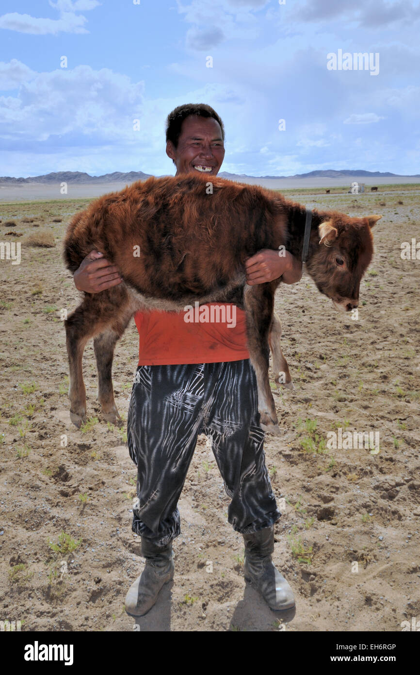The Gobi Desert, Nomad Man With Calf Stock Photo - Alamy