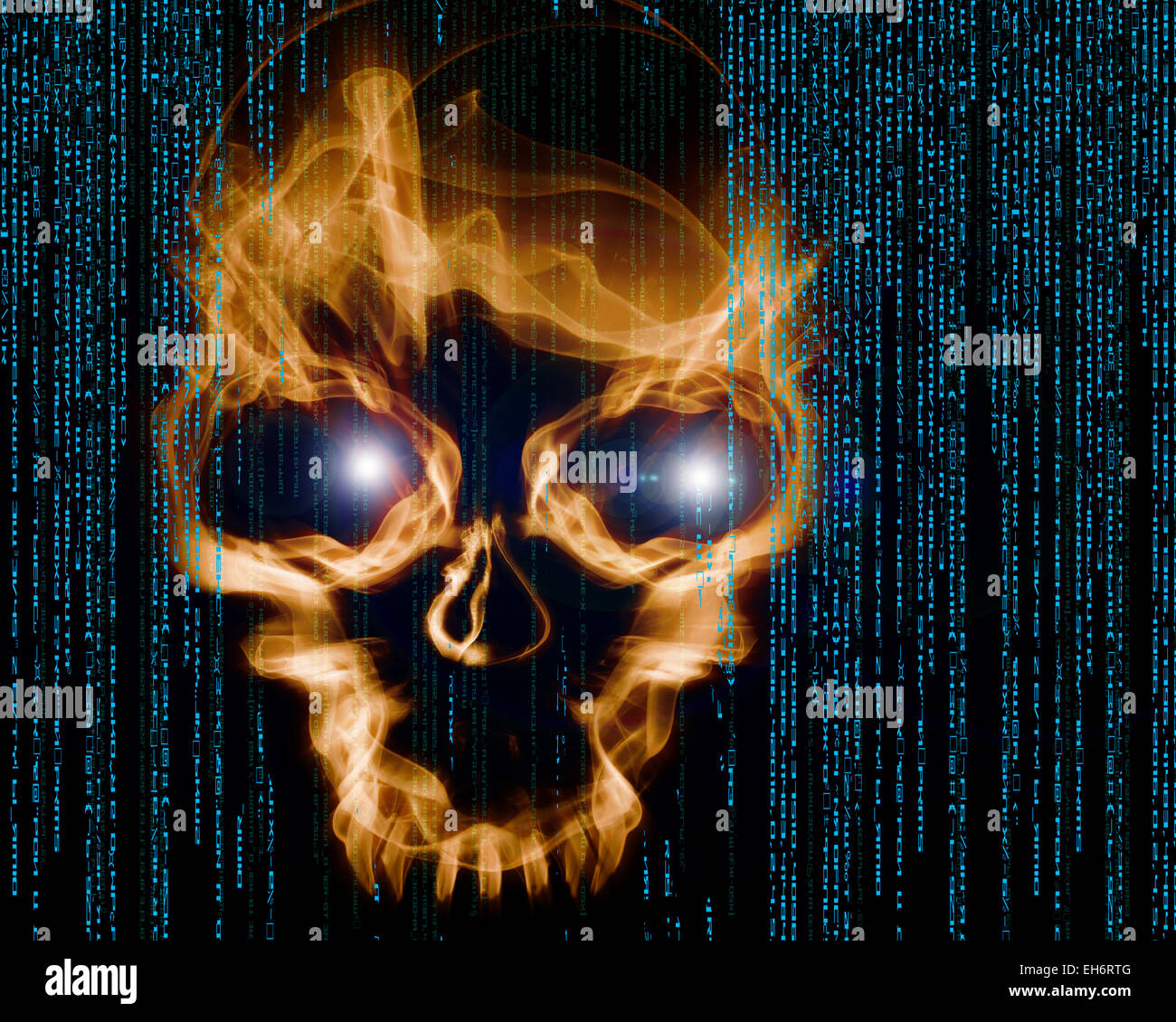 Hacking Skull Logo