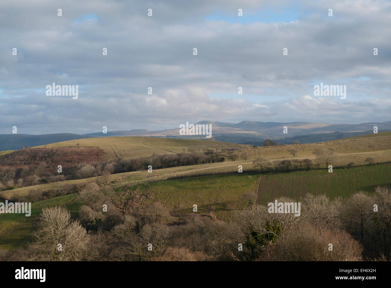 Drizzly welsh weather hi-res stock photography and images - Alamy