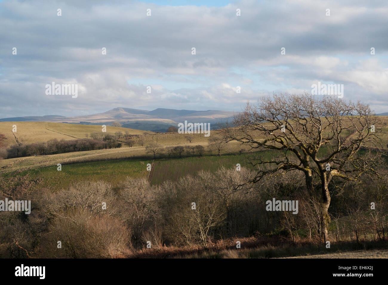 Drizzly welsh weather hi-res stock photography and images - Alamy