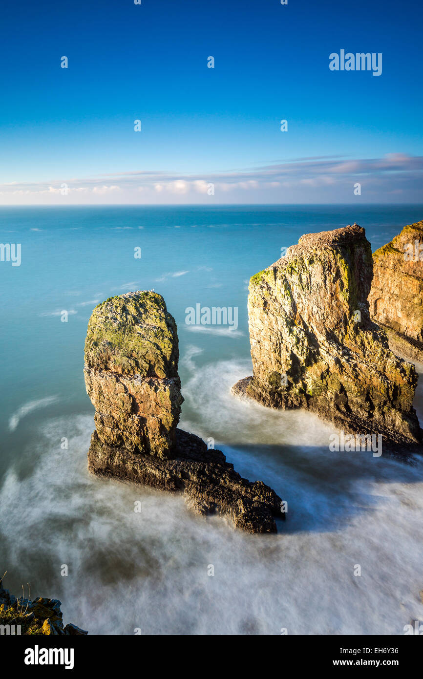 Elegug Stack, Pembrokeshire Coast National Park, Merrion, Pembrokeshire ...