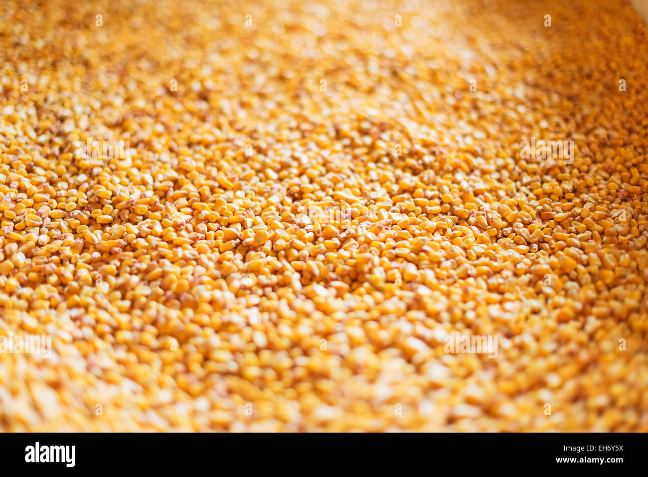 Pile dried sweet corn hi-res stock photography and images - Alamy