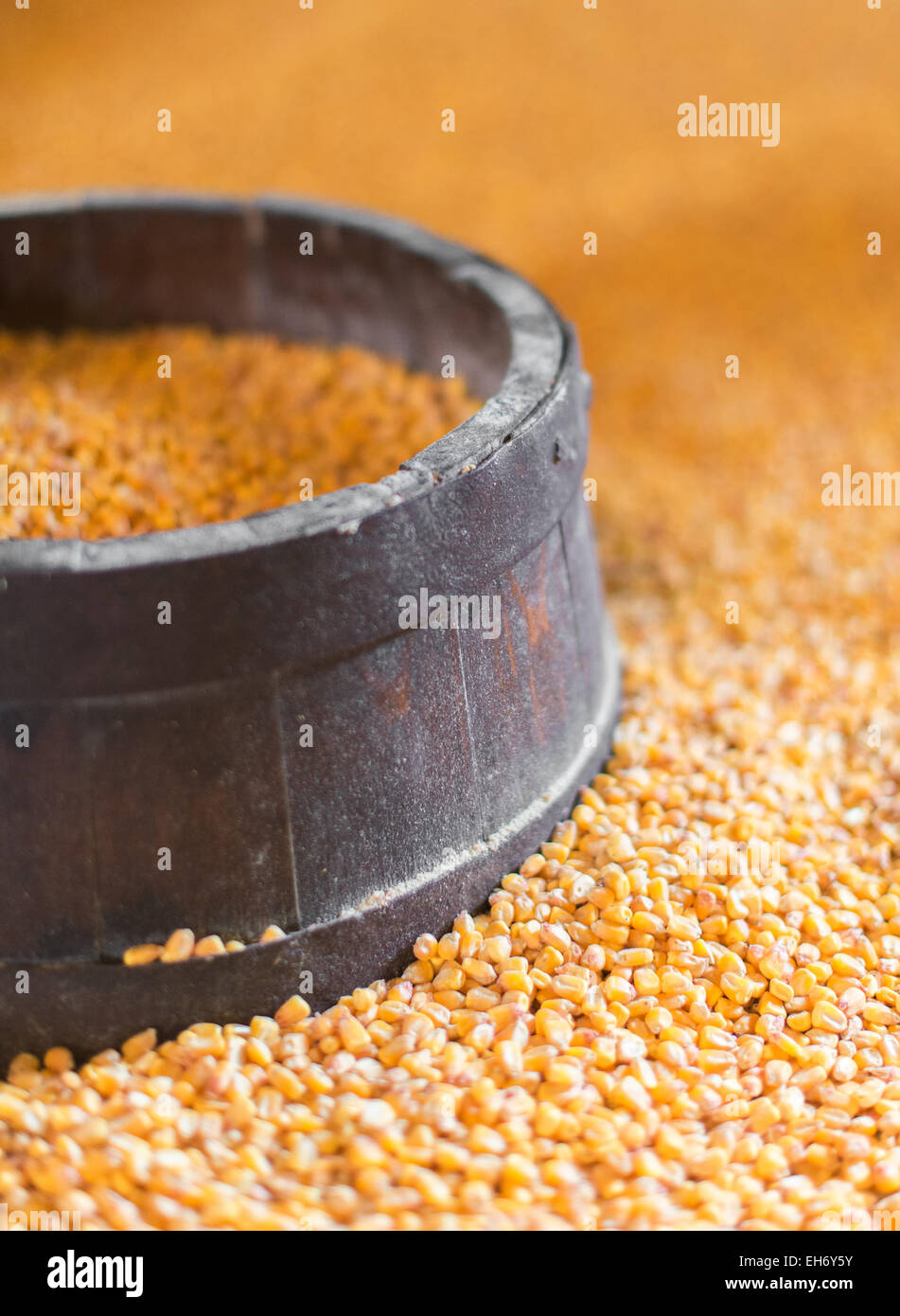 Close-up view of dried corn kernels Stock Photo - Alamy