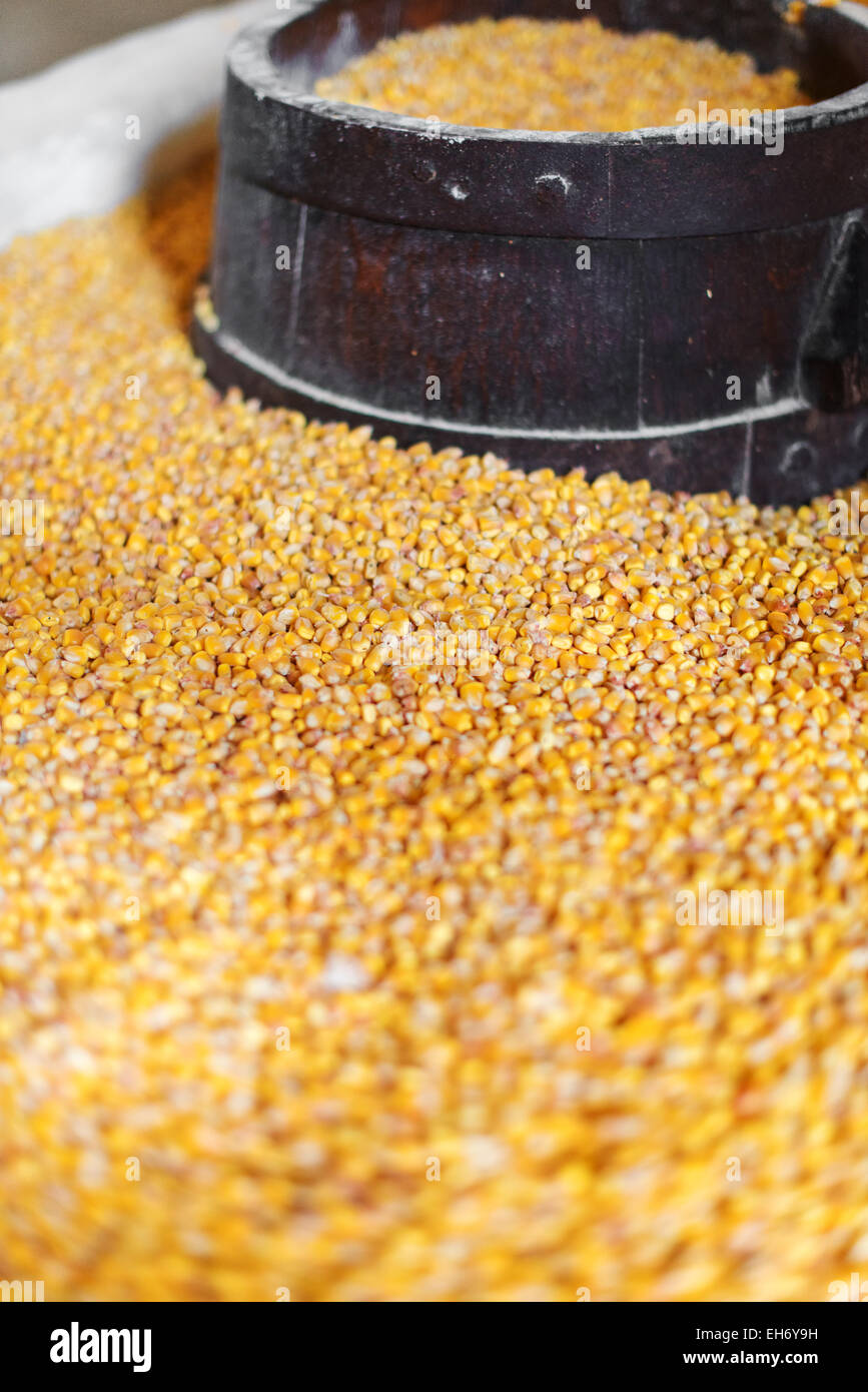 Close-up view of dried corn kernels Stock Photo - Alamy