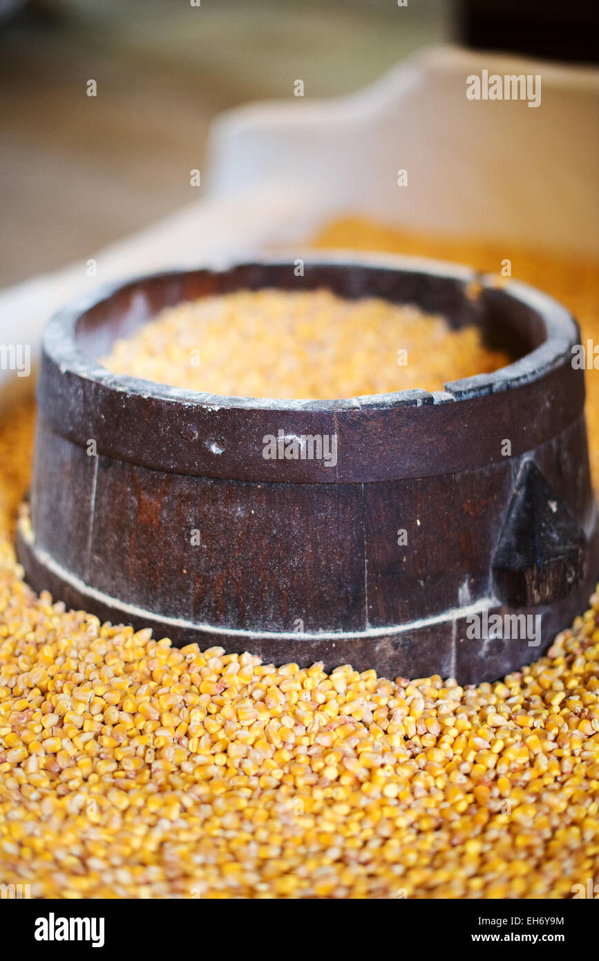 Close-up view of dried corn kernels Stock Photo - Alamy