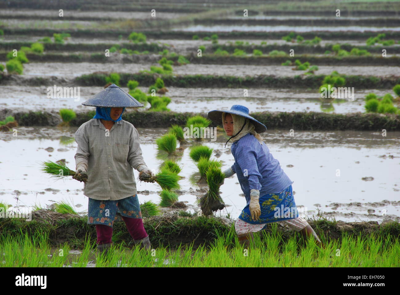 Villager women hi-res stock photography and images - Alamy