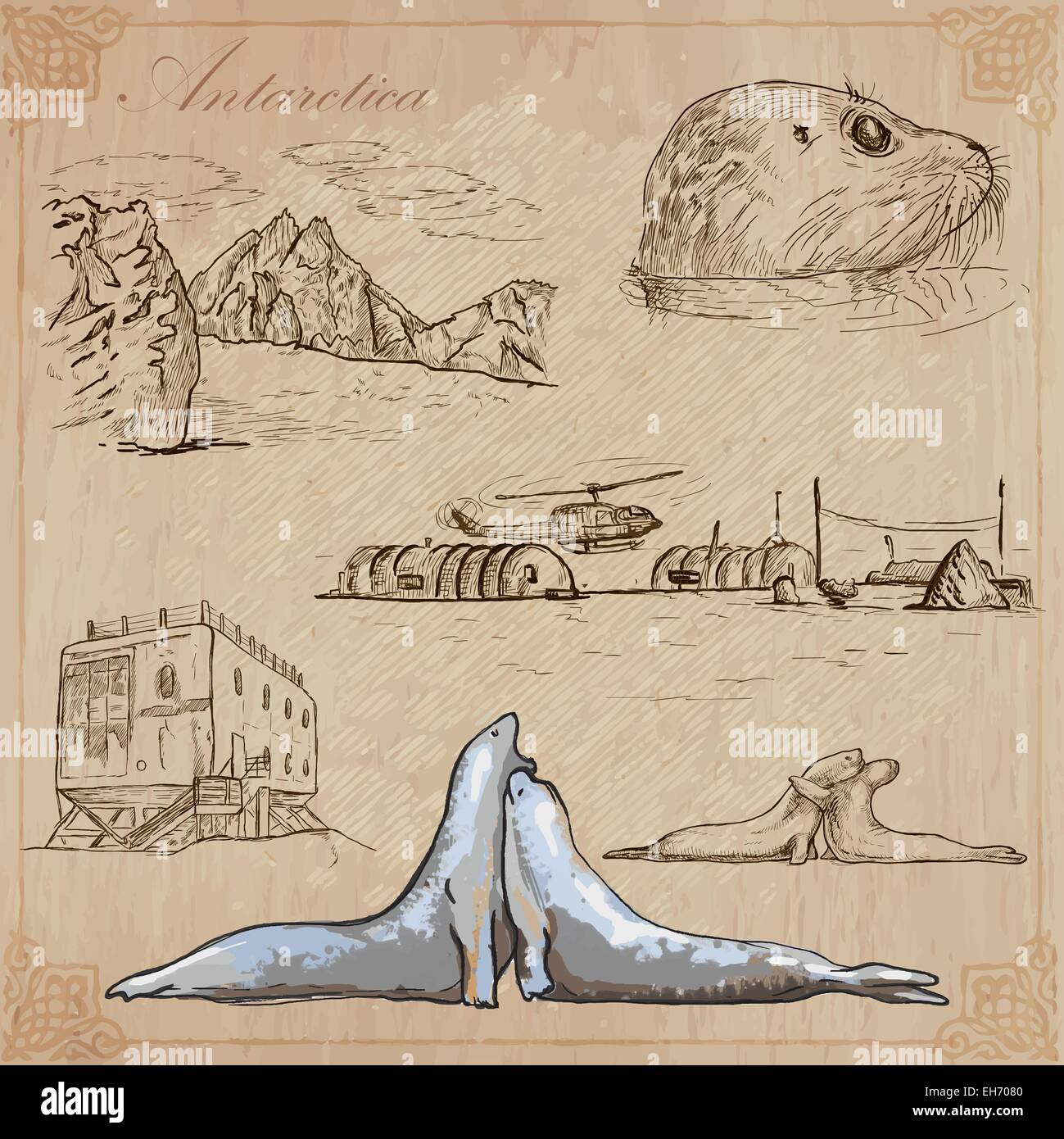 Polar regions of the world Stock Vector Images - Alamy